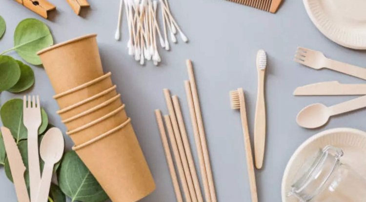 Startup conference on single-use plastic alternatives and air quality ...