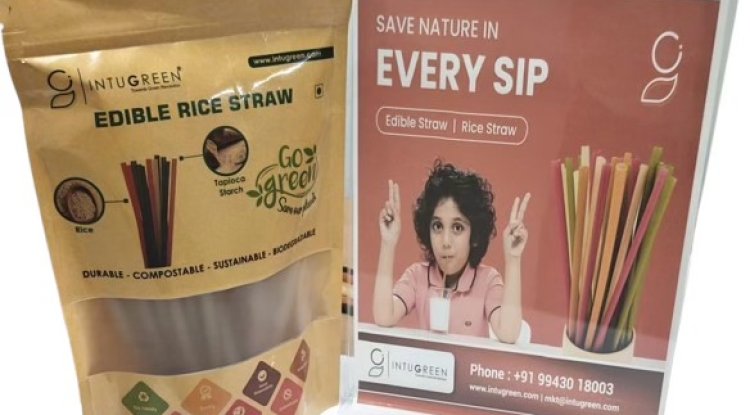 Edible Rice Straws: A Sustainable Innovation Shaping the Future of Eco ...